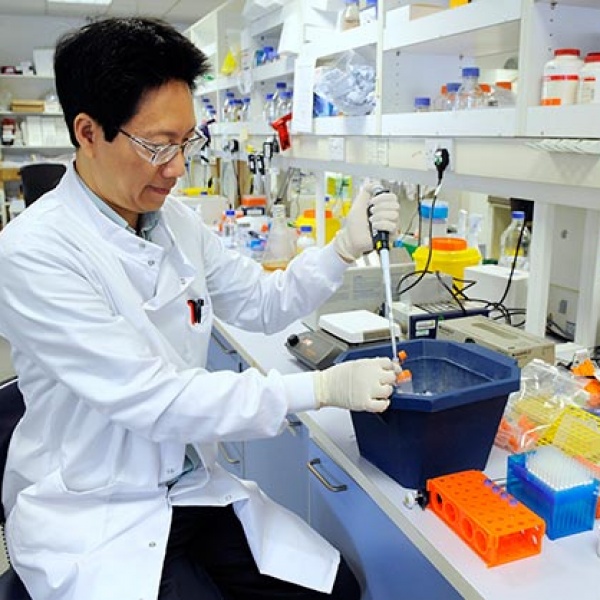 Vocational careers- technical skills