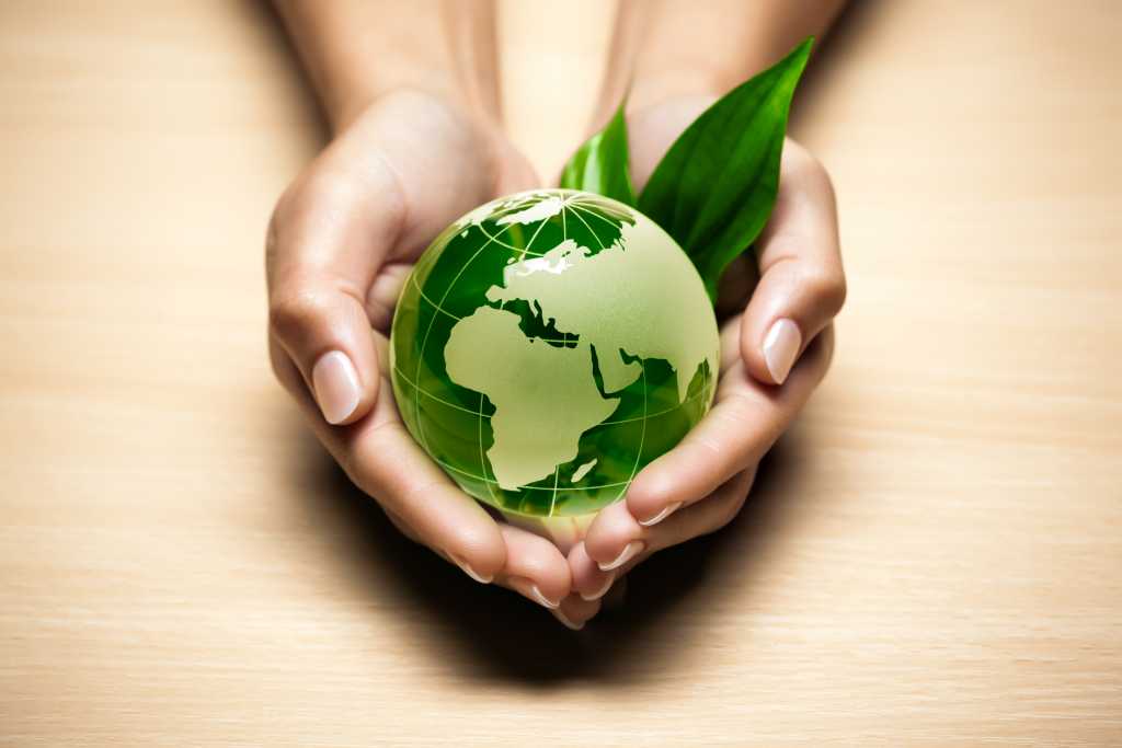 16 Simple Ways In Which You Can Help The Environment - Go Green