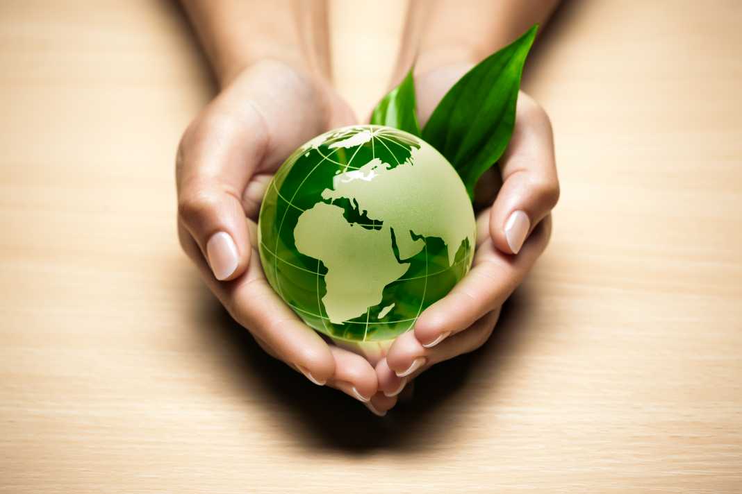 16 Simple Ways In Which You Can Help The Environment - Go Green