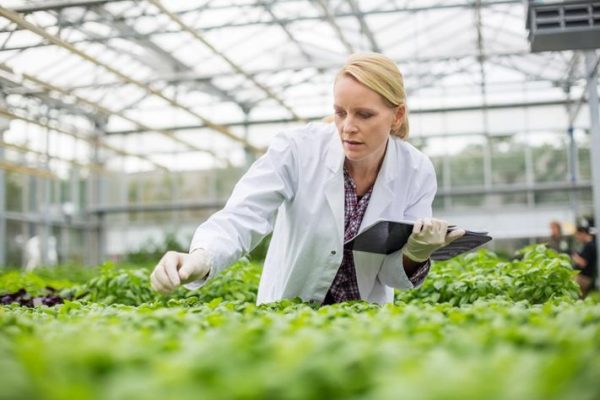 Explore Career Opportunities In The Plant World With A Degree In Botany