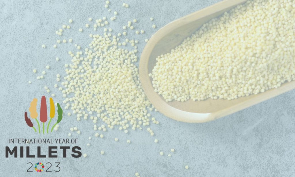 The International Year Of Millets: Why Did the UN Choose 2023?