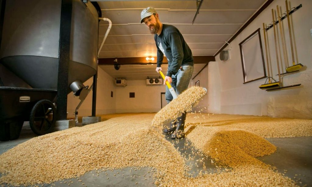 Brewing & Distilling: A Career Option For Those Passionate About Beers